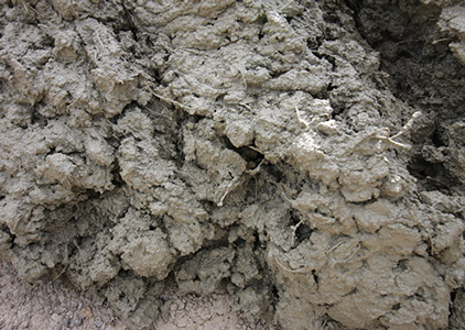 Tuf-Strand SF - Tremco Construction Products Group (CPG) Asia Pacific